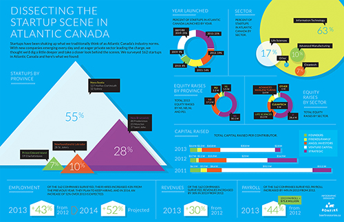 The Bonfire Infographic | Entrevestor.com